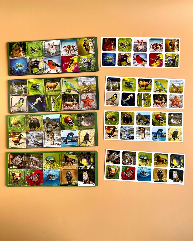 Montessori Animal Sorting Box – Wooden Classification Game With 40 ...