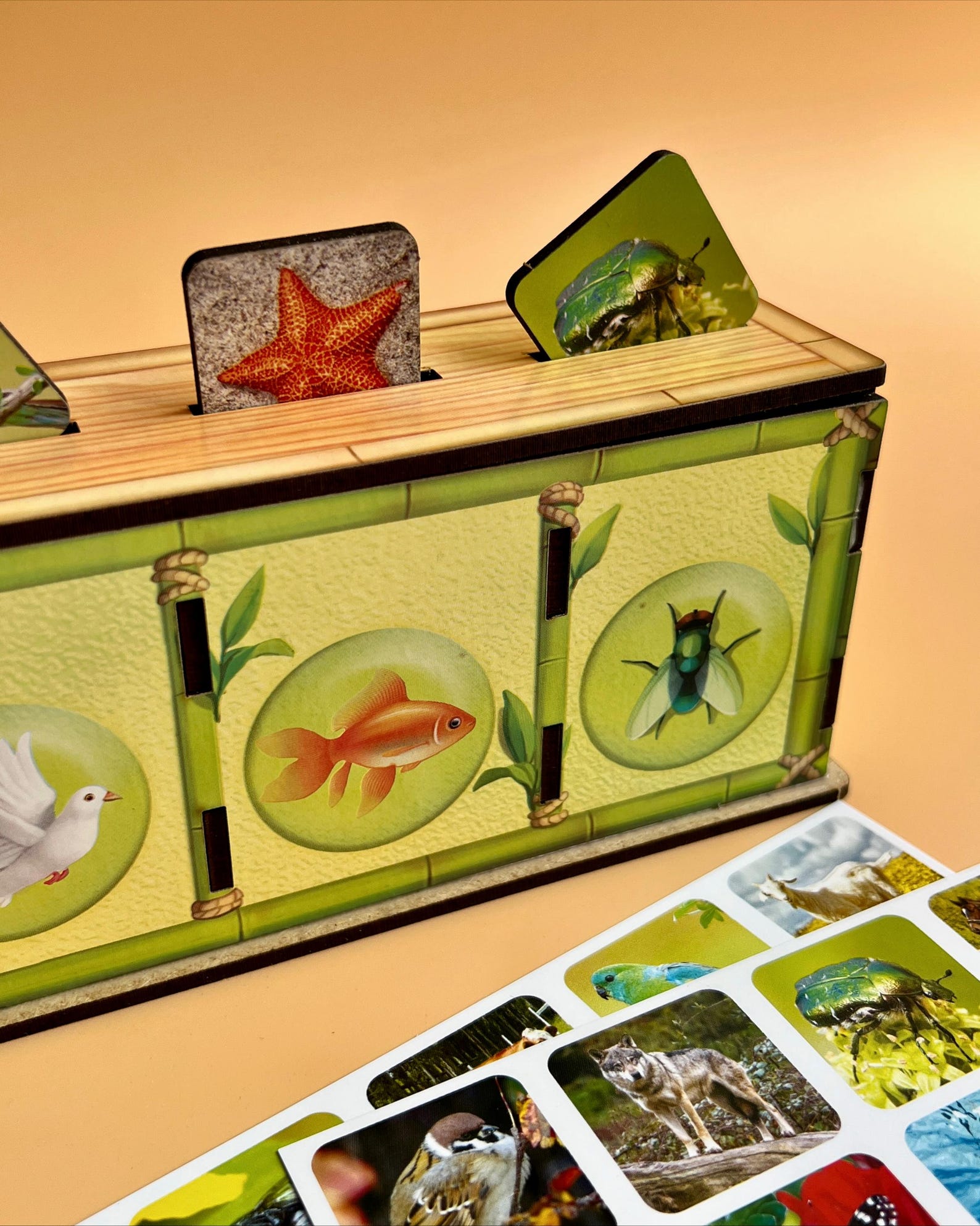 Montessori Animal Sorting Box – Wooden Classification Game With 40 ...