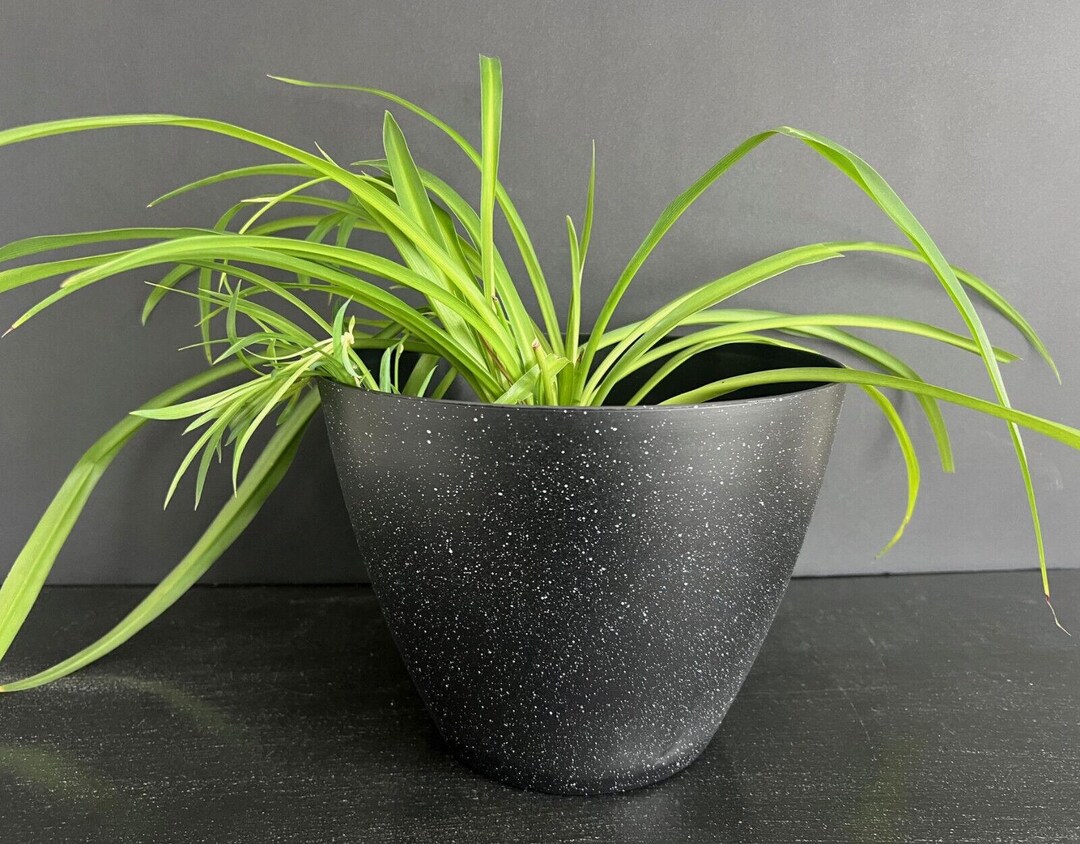 10” Speckled Texture Plastic Planter – Lightweight, Durable, Indoor ...