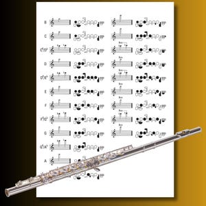 Flute Fingering Chart - Beginner to Advanced - 2 Page Digital Download ...