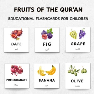 6 Fruits of the Quran Flashcards – Printable Educational PDF for Kids ...
