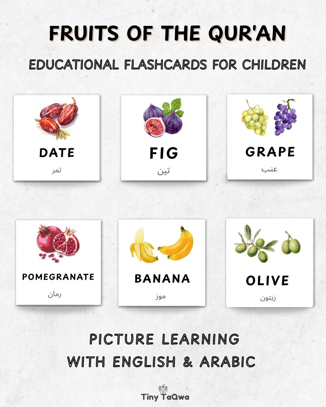 6 Fruits of the Quran Flashcards – Printable Educational PDF for Kids ...