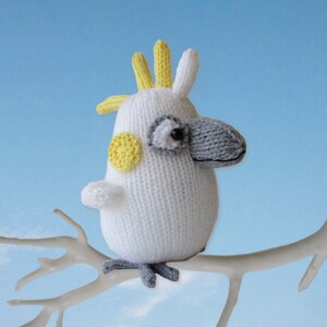 Colin the Cockatoo Knitting Pattern - Toy Bird - PDF Download - Etsy