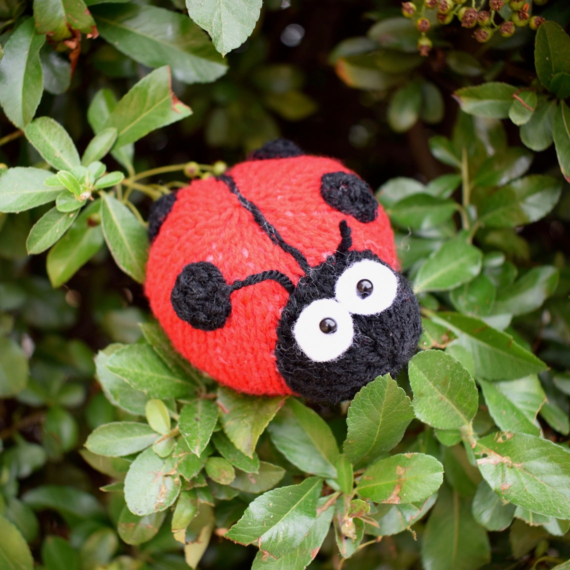 Spots the Ladybird Toy Knitting Pattern - Etsy