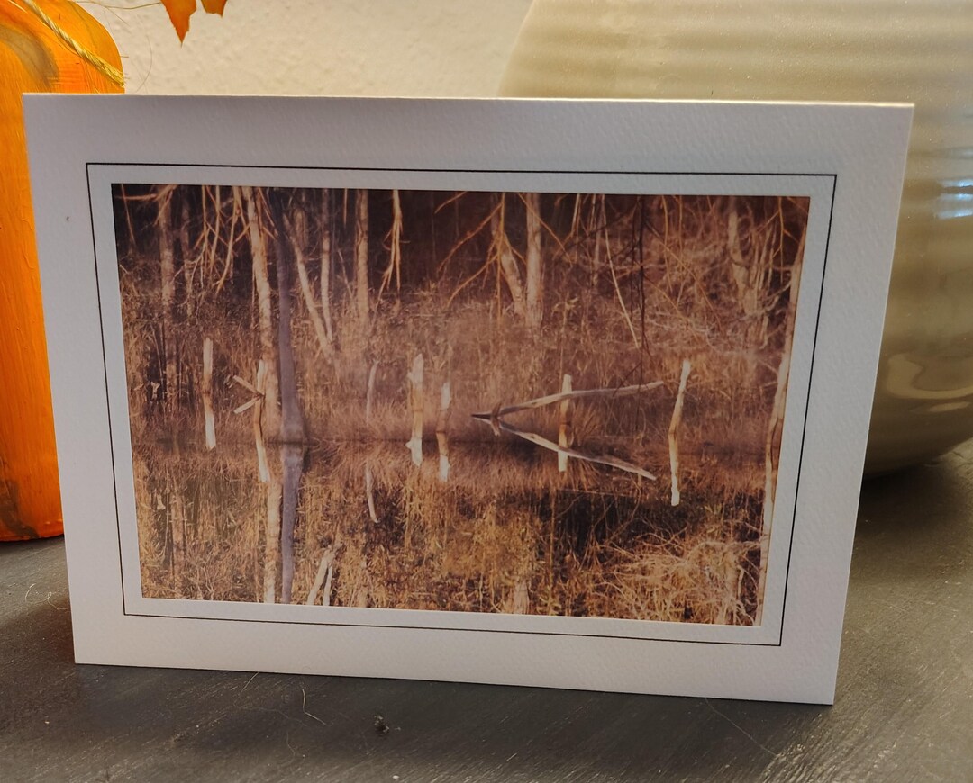 Autumn Pond Note Card: 5x7 Photograph, Brown Woods Reflection - Etsy