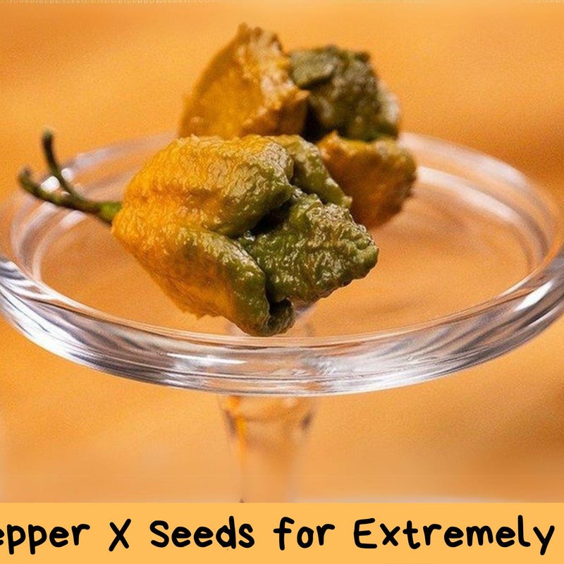 Rare Pepper Seeds - Etsy