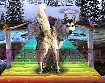 Husky Rainbow Bridge - Etsy
