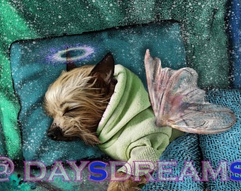 Yorkie Sympathy Card - Etsy