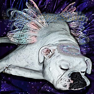 White Bulldog Memorial Sleeping Peaceful Winged Angel English Bullie ...