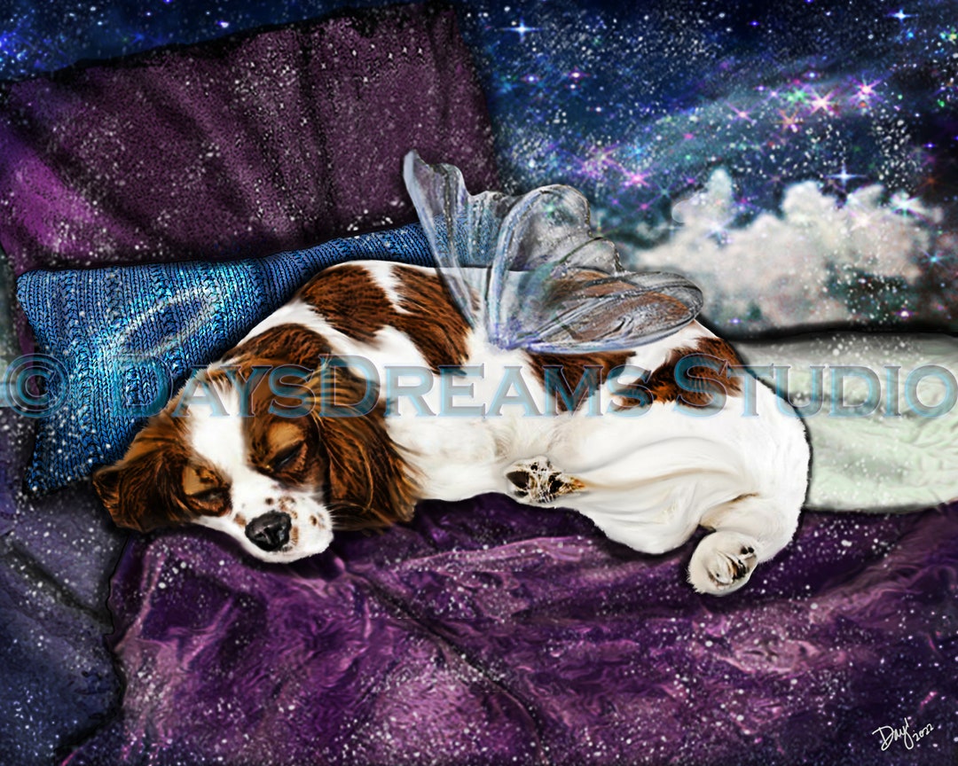 Cavalier King Charles Spaniel KCCS Dog Angel Wings Halo Pet - Etsy