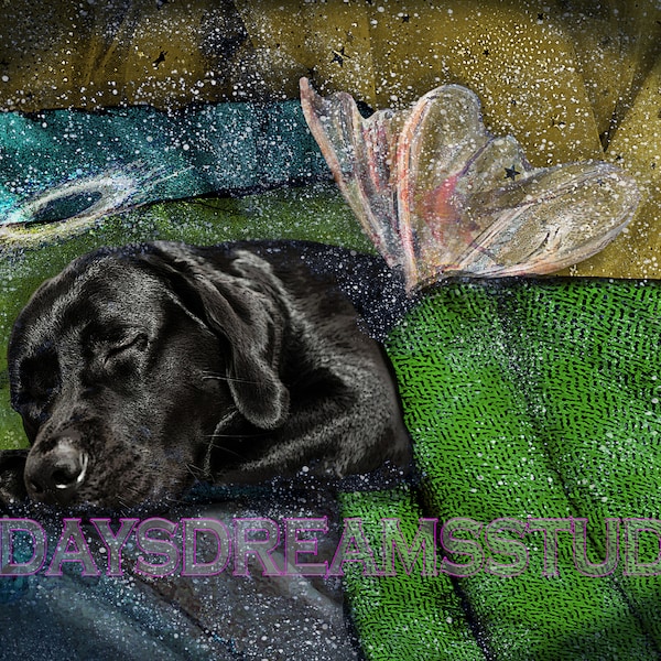 Black Lab Art - Etsy