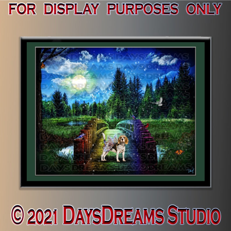 Beagle Hound Dog at Rainbow Bridge Angel Looking at You With Halo ...