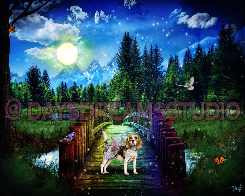 Beagle Hound Dog at Rainbow Bridge Angel Looking at You With Halo ...