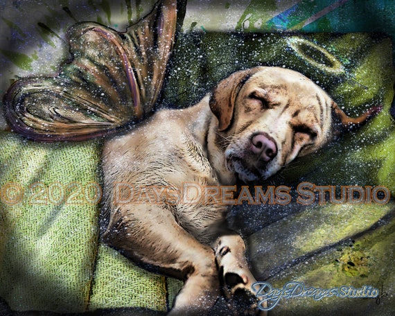 Yellow Lab Labrador Retriever Dog Sleeping Wings Angel Halo - Etsy