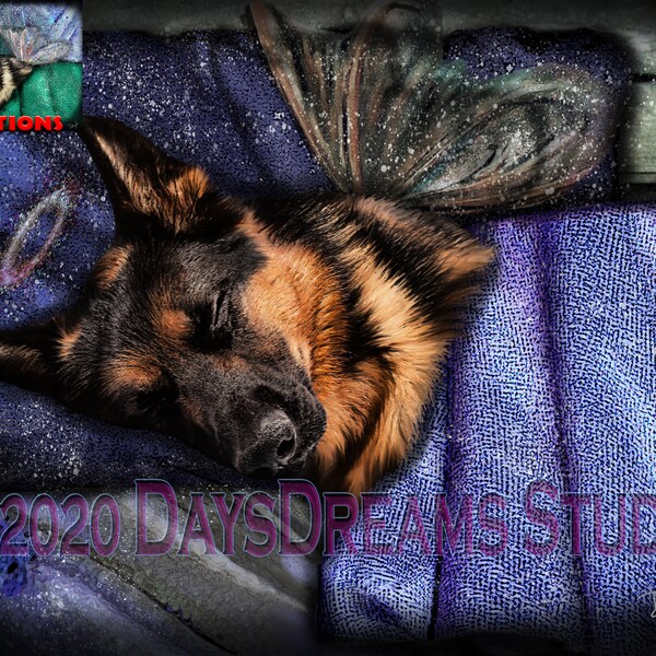 German Shepherd Rainbow Bridge - Etsy
