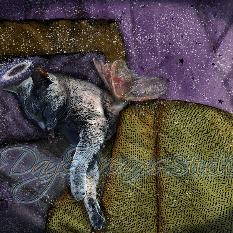 Angel Cat - Etsy