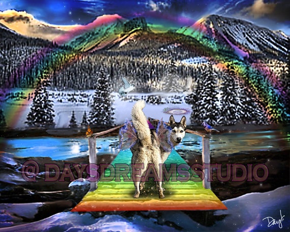 Siberian Husky Malamute Looks Back Crossing the Rainbow Bridge | Etsy