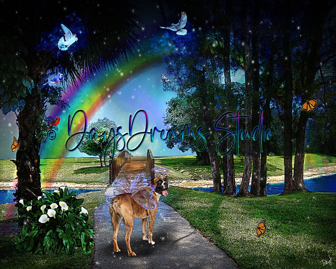 Rainbow Bridge Boxer Dog Memorial Art Print: Pet Loss Sympathy Gift - Etsy