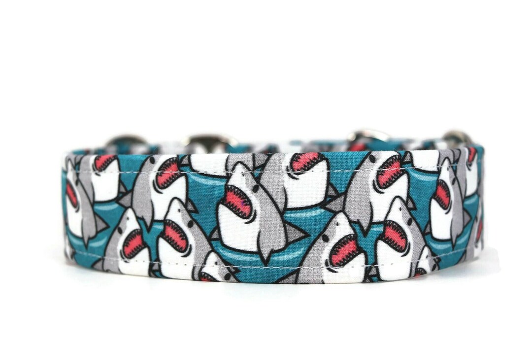 Big Sharks Dog Collar - Custom Dog Collar - Martingale - Pet ...