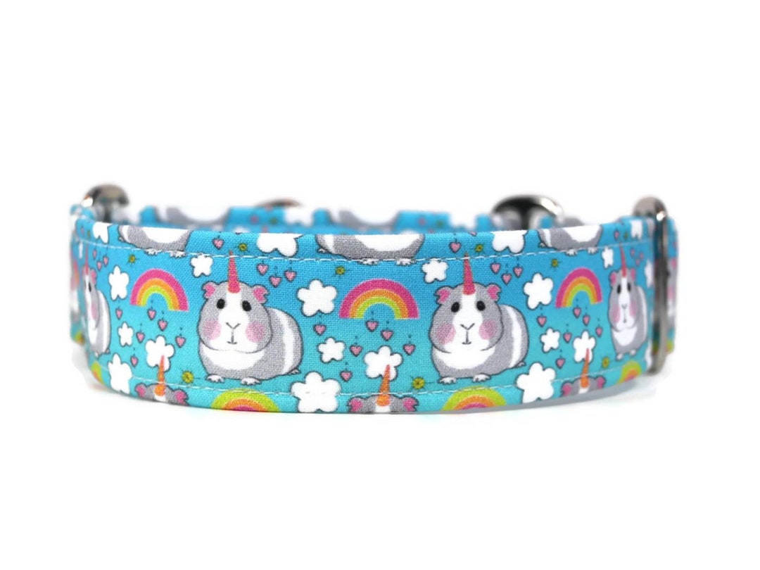Unicorn Guinea Pig Dog Collar: Rainbow Pet Accessories - Etsy