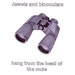 Visions of Johanna/binoculars 8x10 Print From Original Illustration - Etsy