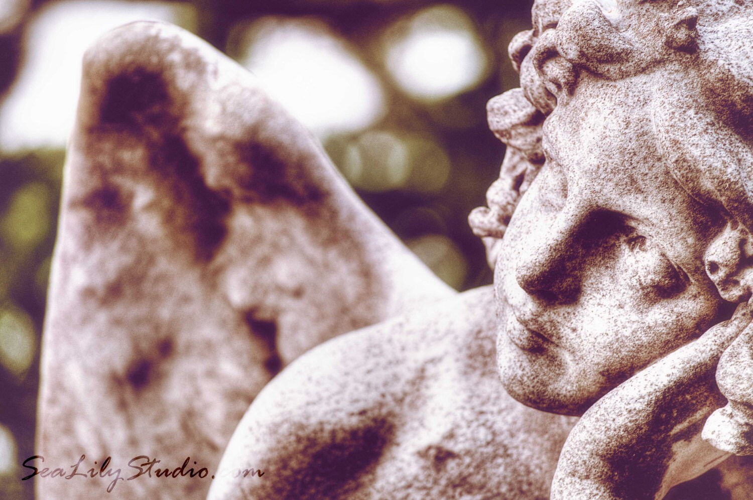 Angelmine