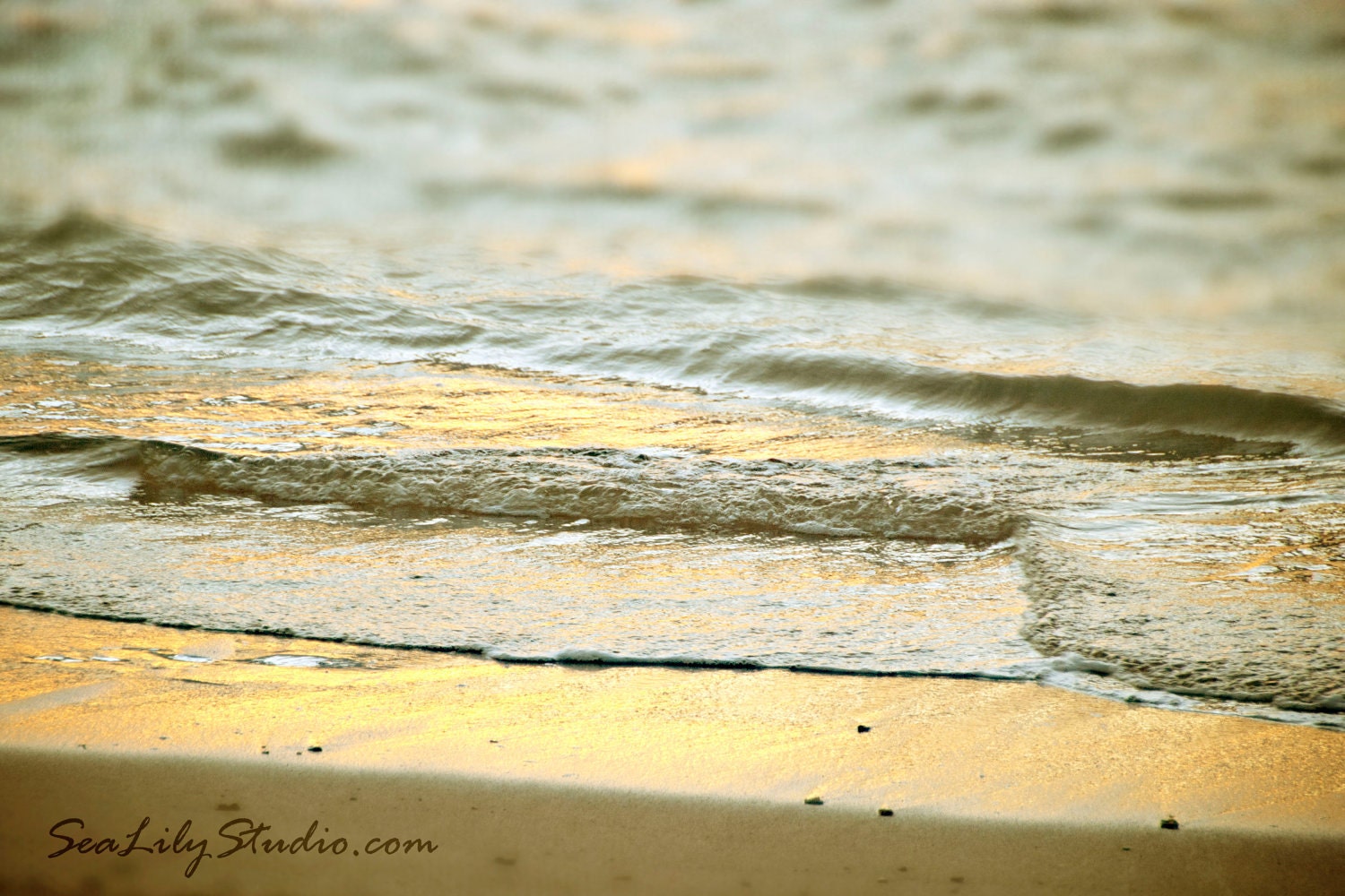 Angel Sea : Beach Photography Aqua Gold Sunset Surf Home Decor 8x12 ...