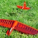 Bee DLG 1M Balsa RC Glider Plans | Laser-cut Ready (DXF Digital ...
