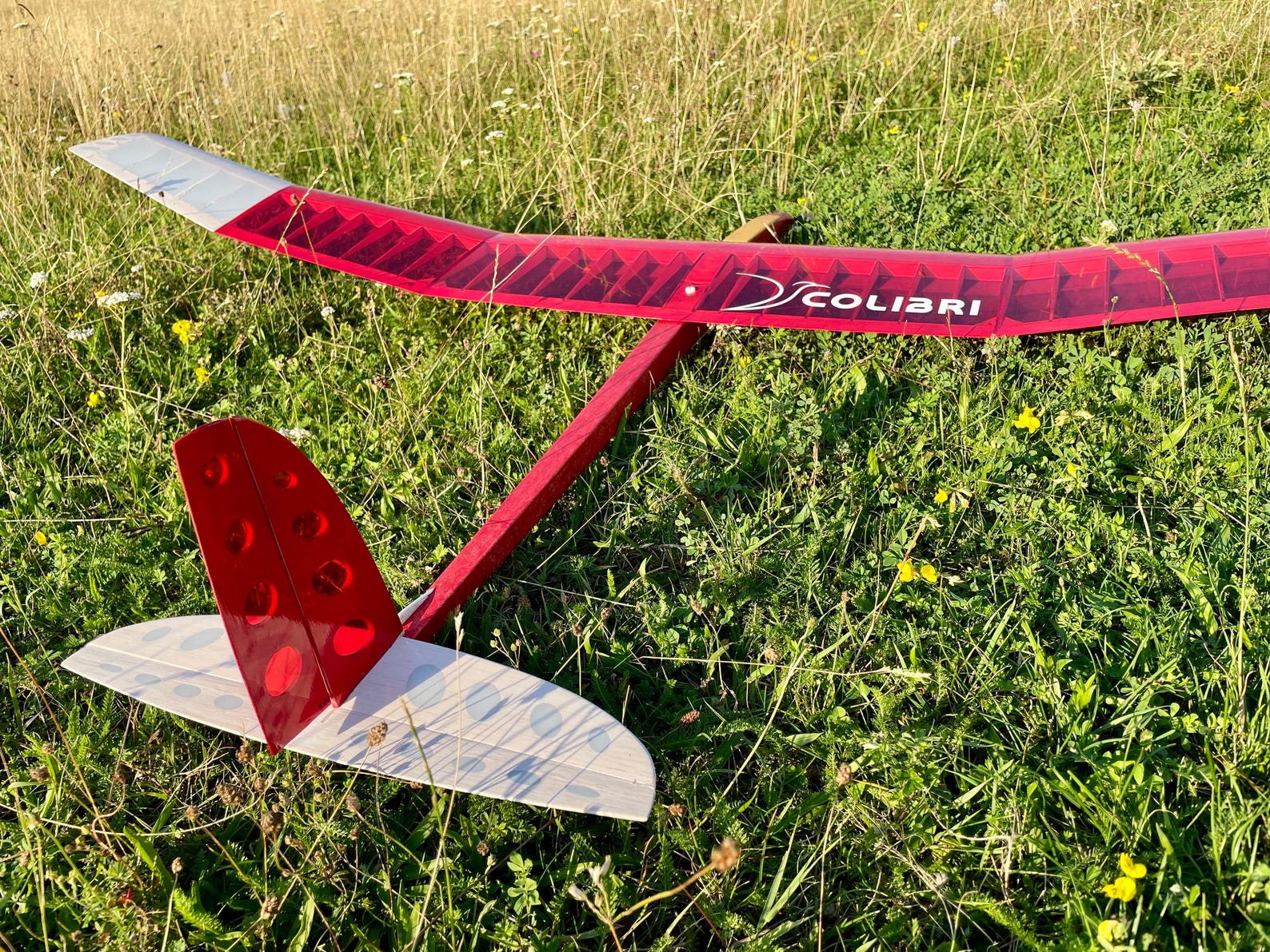 Colibri RC Glider 1.5m | DXF Plans for Balsa Models | Laser-cut Ready ...
