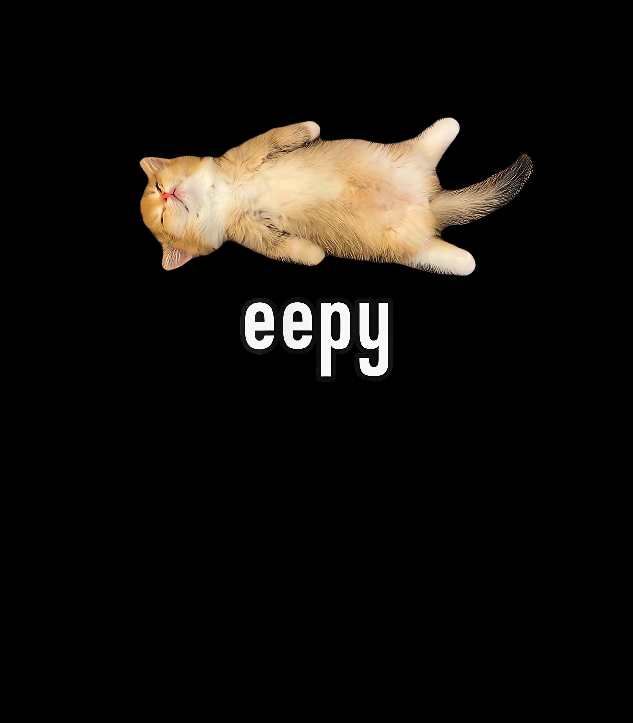 Eepy Cat, Silly Sleepy Cat Meme Png, for Cat Lovers Png, Cats Cute Png, Funny Cat Lover Gift ...