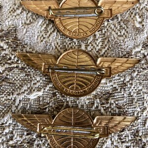 Vintage Pan Am Junior Clipper Pilot Pins - Etsy
