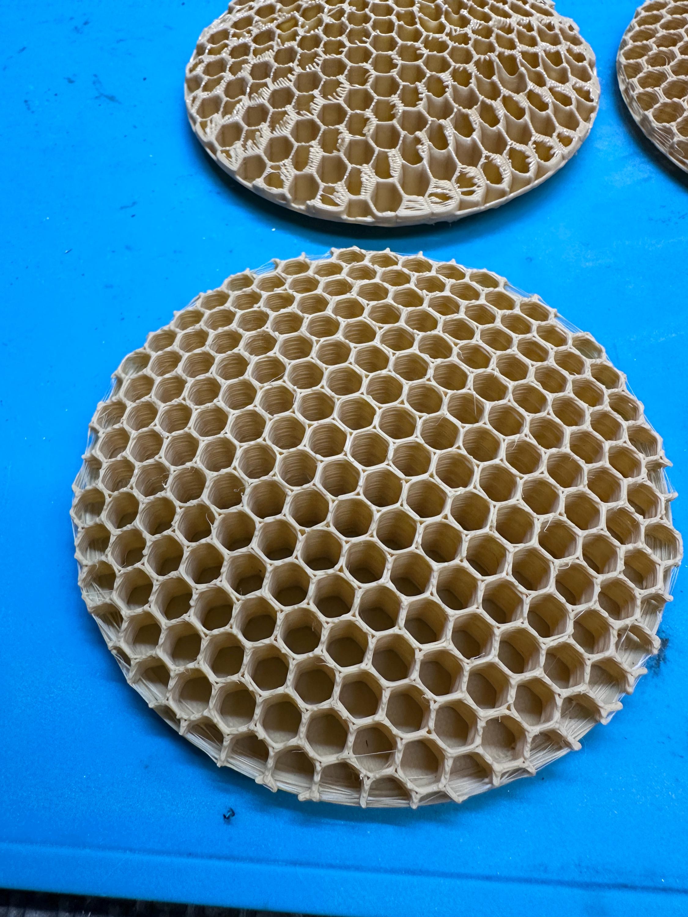 3D Printed Wasp Nest Decoy – Natural Deterrent, Includes 8 Wasp ...