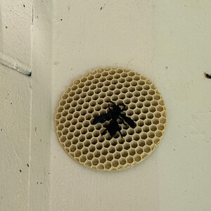 3D Printed Wasp Nest Decoy – Natural Deterrent, Includes 8 Wasp ...