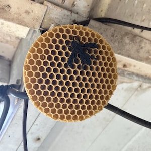 3D Printed Wasp Nest Decoy – Natural Deterrent, Includes 8 Wasp ...