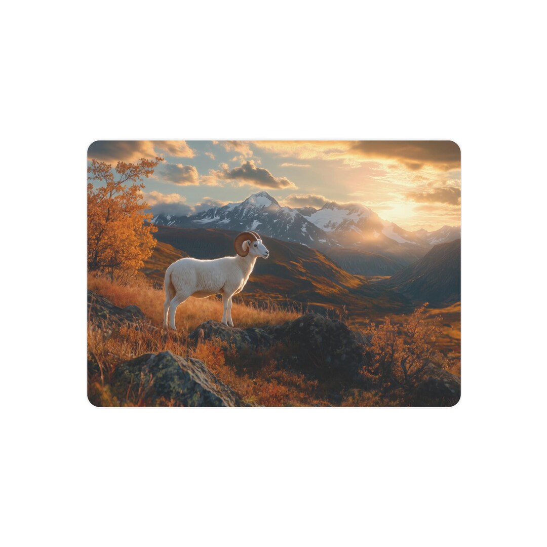 Majestic Dahl Sheep Surveying a Alakan Valley for Danger - Etsy