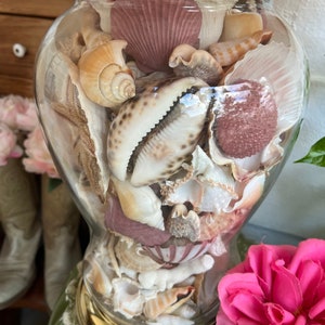 Ginger Jar Seashell Lamp, Glass Ginger Jar Lamp Full of Shells, Pink ...