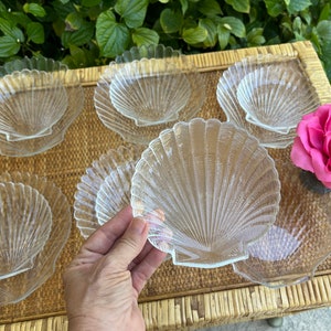 Set of 12 Glass Clam Plates and Large Glass Clam Shell Bowl, 6 Medium ...