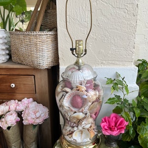 Ginger Jar Seashell Lamp, Glass Ginger Jar Lamp Full of Shells, Pink ...