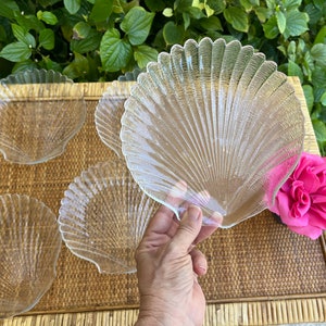 Set of 12 Glass Clam Plates and Large Glass Clam Shell Bowl, 6 Medium ...