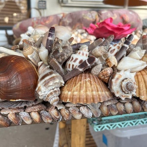 LARGE SEASHELL MIRROR, Mid Century Shell Encrusted Mirror, 42 Tall ...