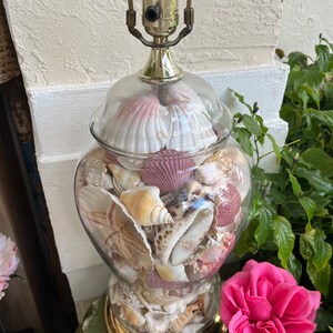 Ginger Jar Seashell Lamp, Glass Ginger Jar Lamp Full of Shells, Pink ...