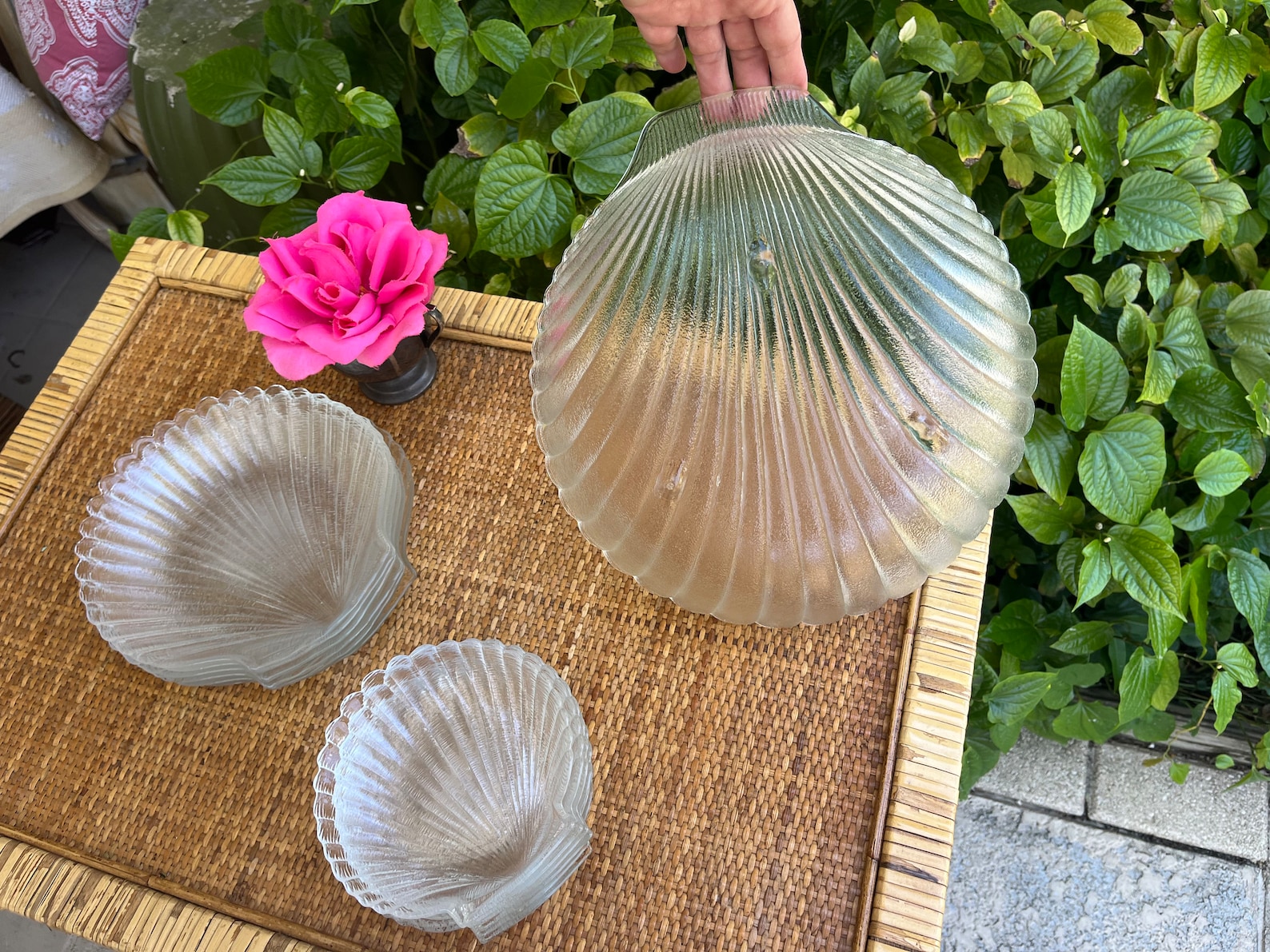 Set of 12 Glass Clam Plates and Large Glass Clam Shell Bowl 6 - Etsy