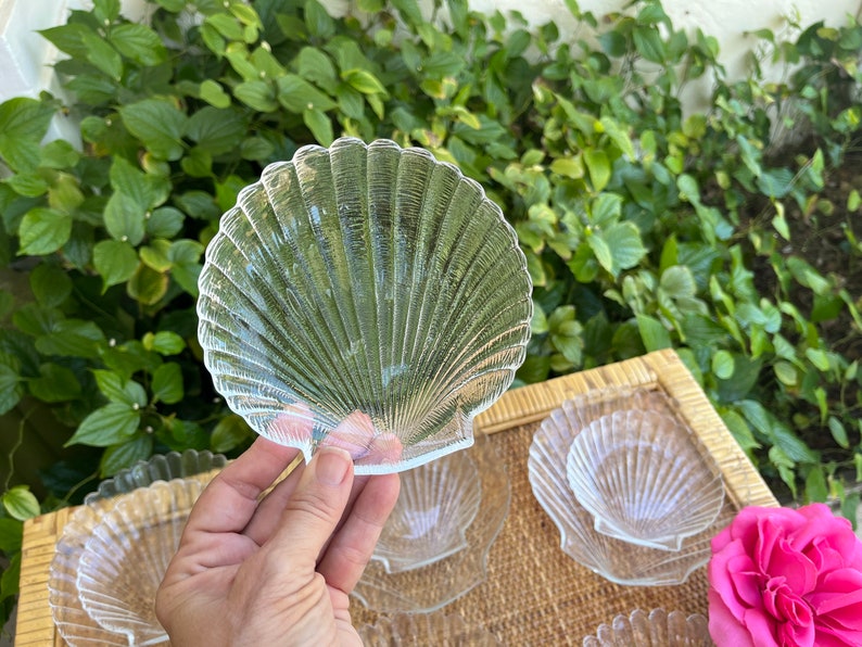 Set of 12 Glass Clam Plates and Large Glass Clam Shell Bowl 6 - Etsy
