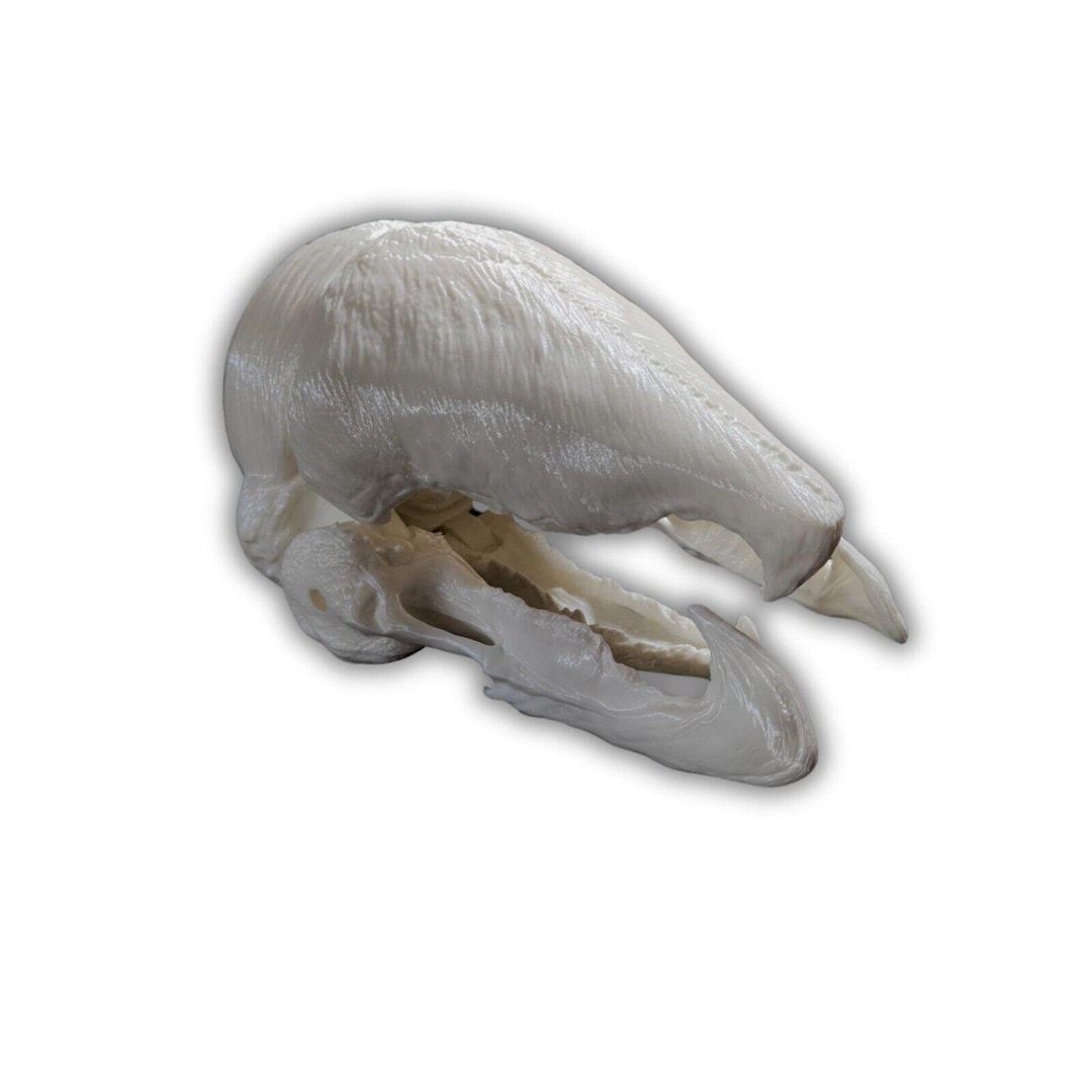 Graboid Head 30cm Length Print 3d DIY Model Kits - Etsy