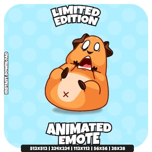 Animated Scared Hamster Emote – Shocked Twitch Discord Stream Reaction ...