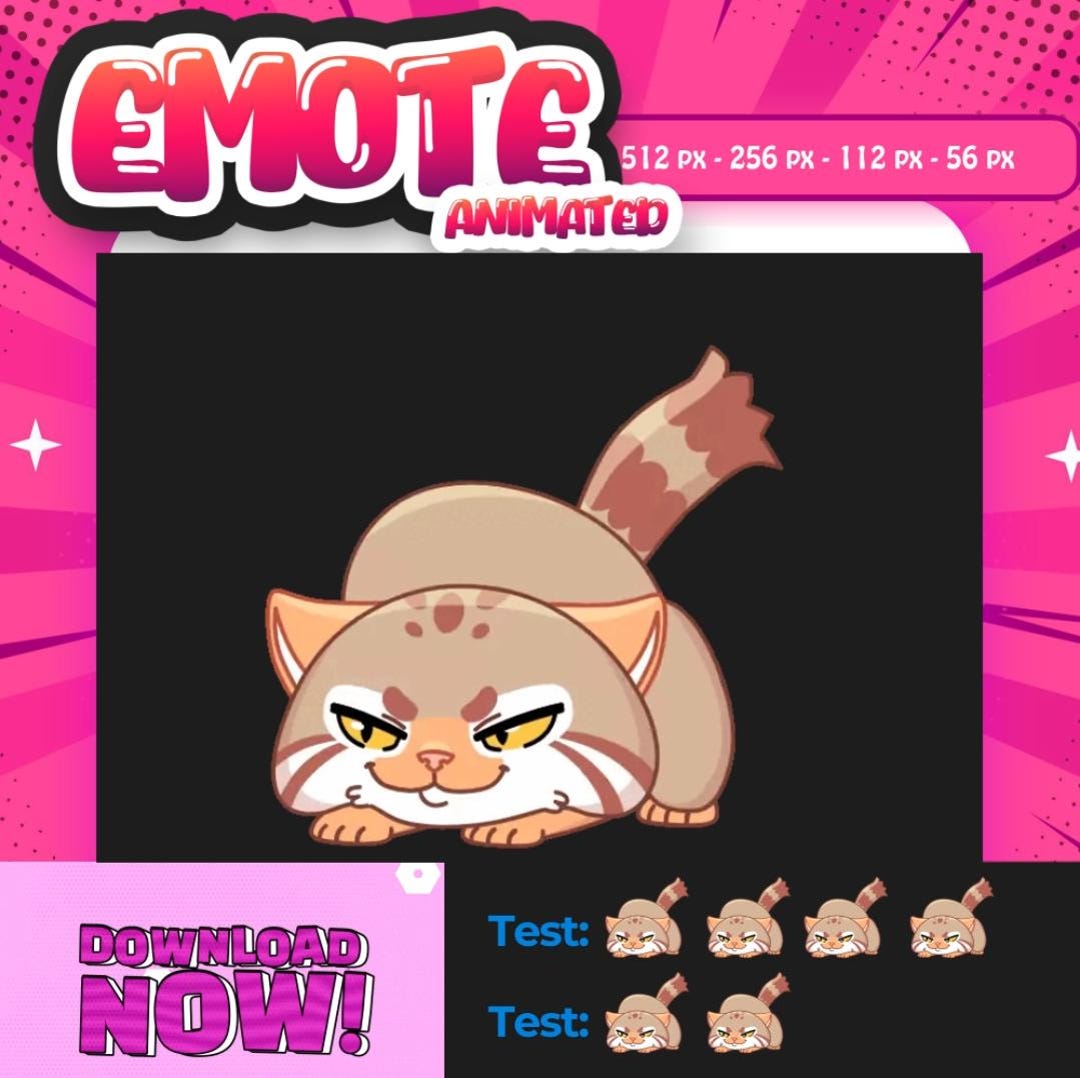 Twitch Emote | Focus Cat GIF | Instant Download - Etsy
