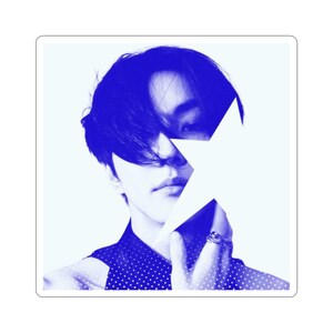ENHYPEN JUNGWON Stickers, Unique Wall Art, Custom Stickers, Gift for ...
