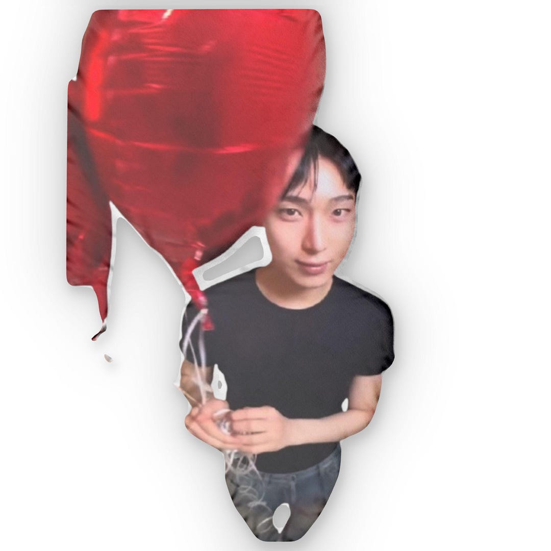 Funny Sunoo Pillow: Fan Art, Custom Shape - Etsy UK