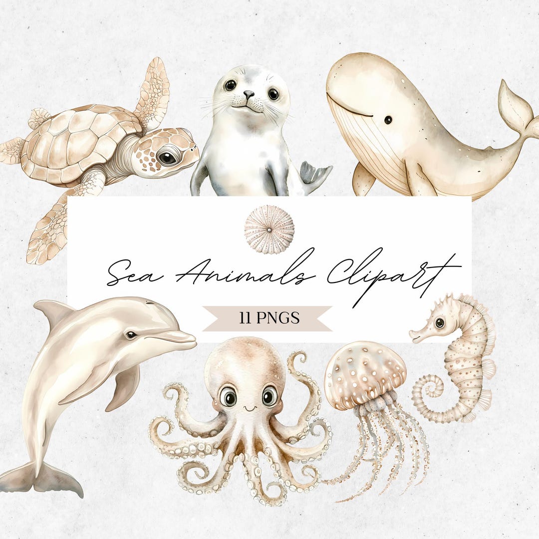 Baby Sea Animals Clipart: Watercolor Ocean Theme PNG (digital Download ...