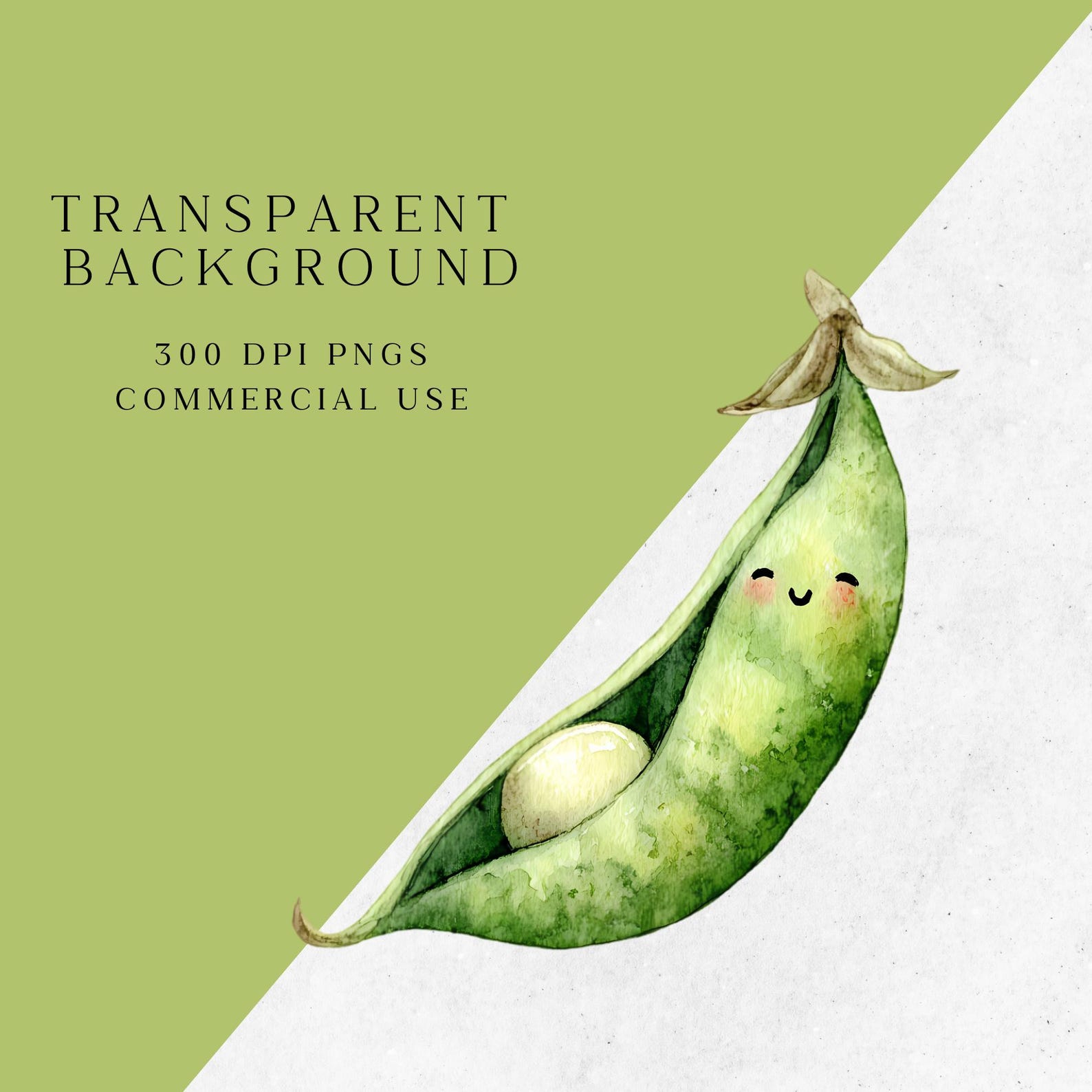 Watercolor Pea Pod Clipart: Baby Shower Graphics (PNG Digital Download ...